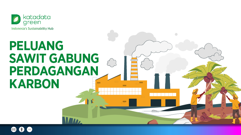 Peluang Sawit Gabung Perdagangan Karbon